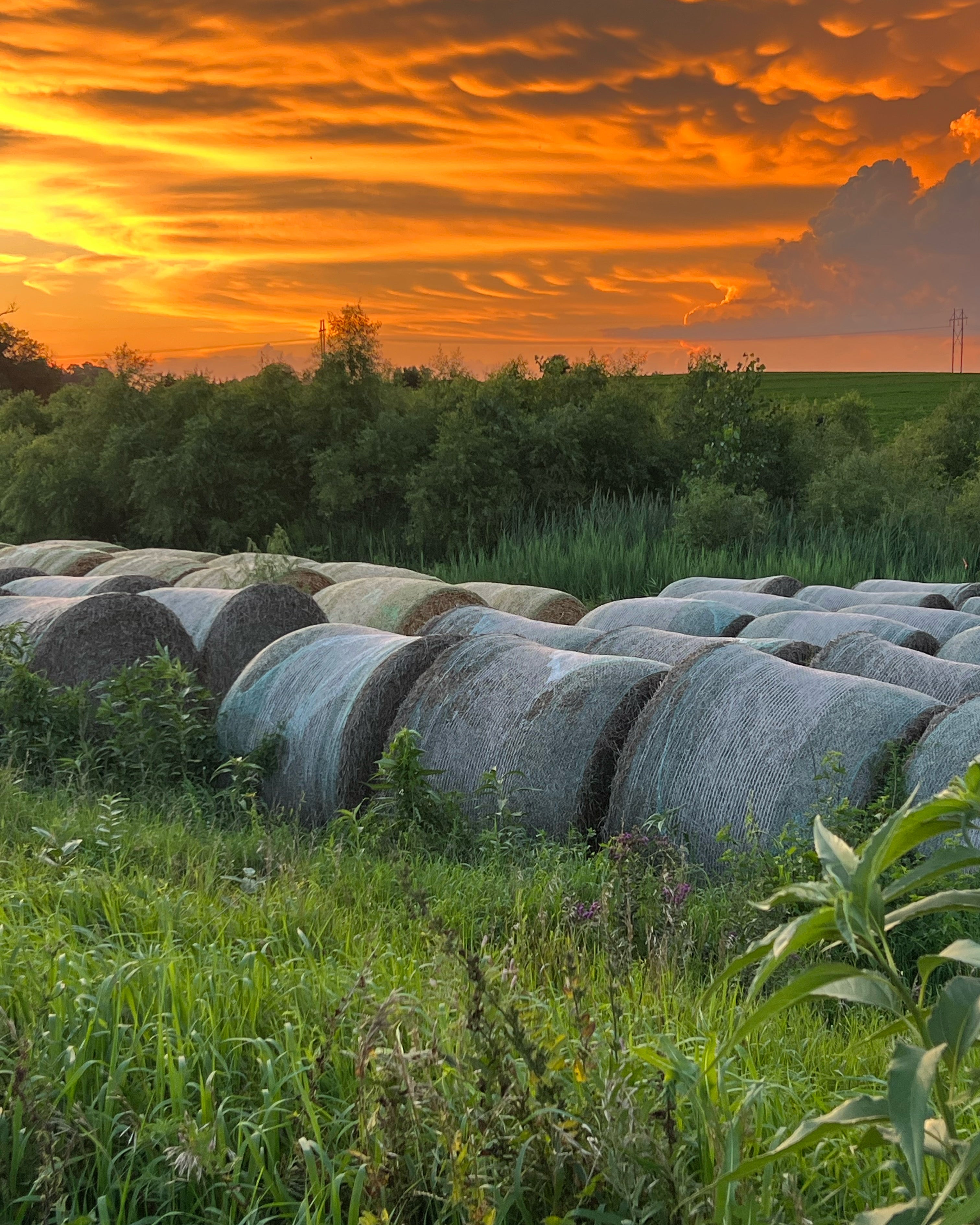 midwest sunsets + a little magic – Salt Creek Mercantile