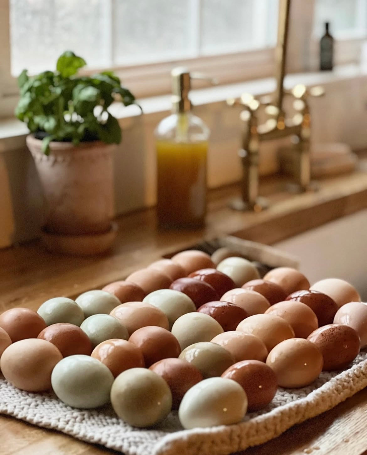 morning wash – Salt Creek Mercantile